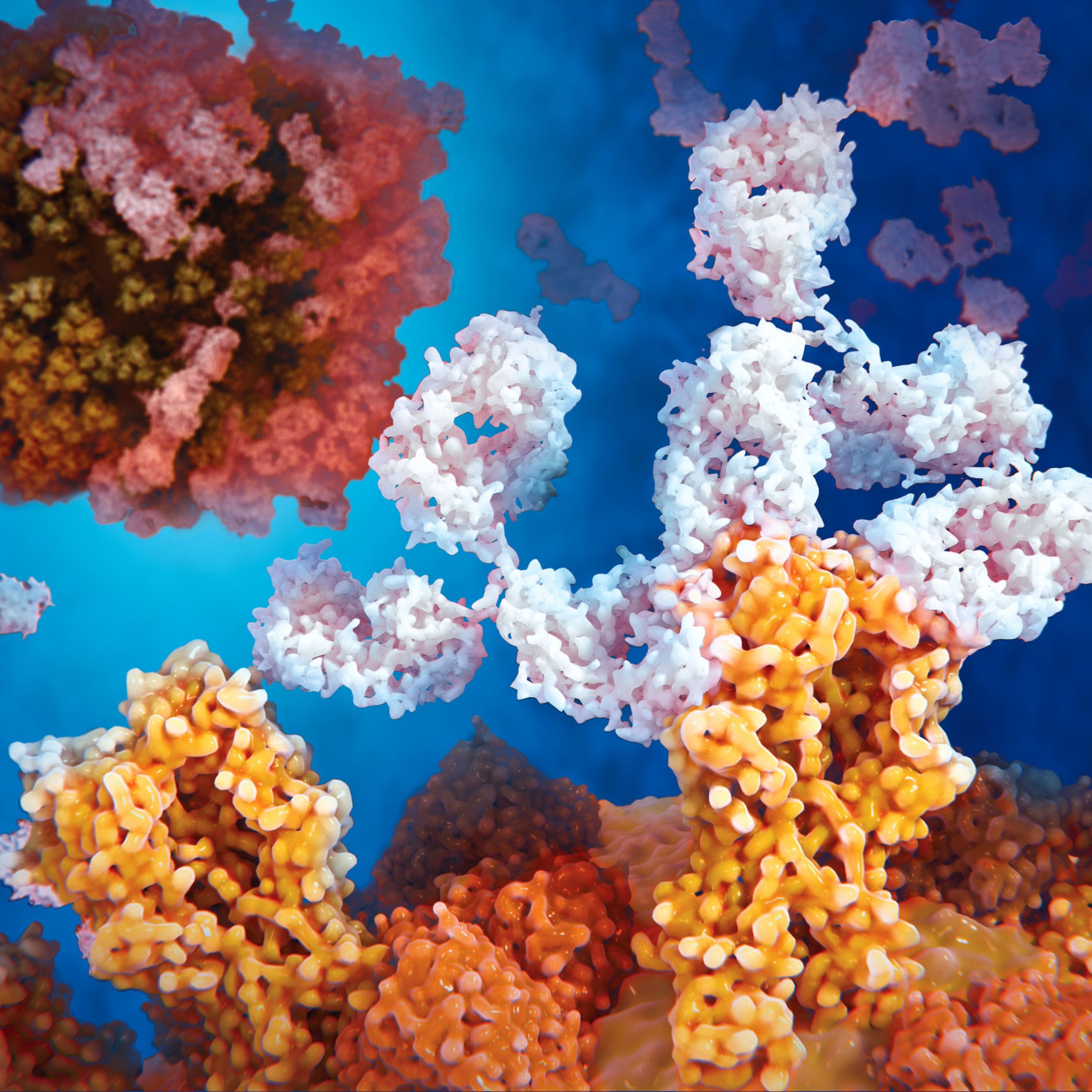 Cell Therapy: Live-Cell Analysis of Immune Cell Killing, Activation ...