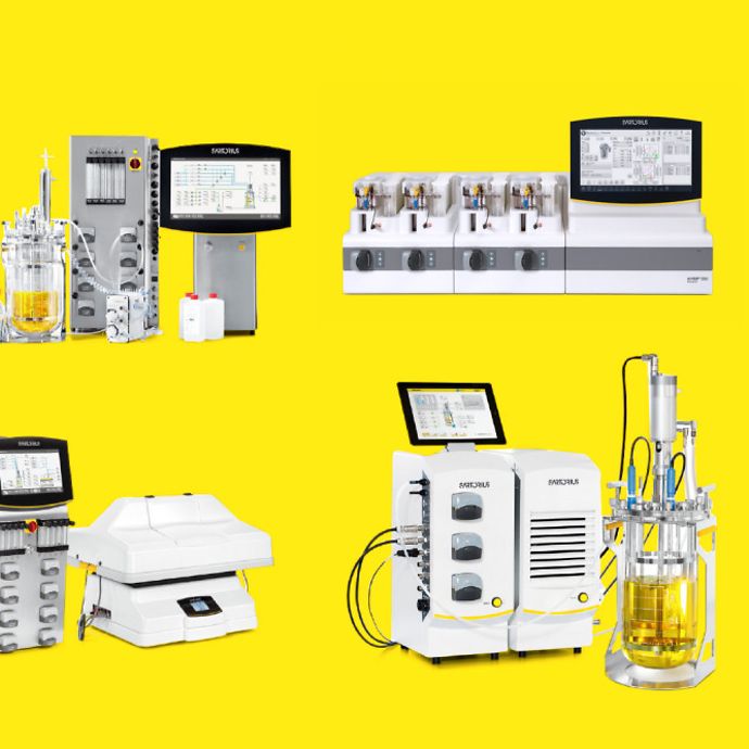 Biorreatores multiparalelos | Sartorius
