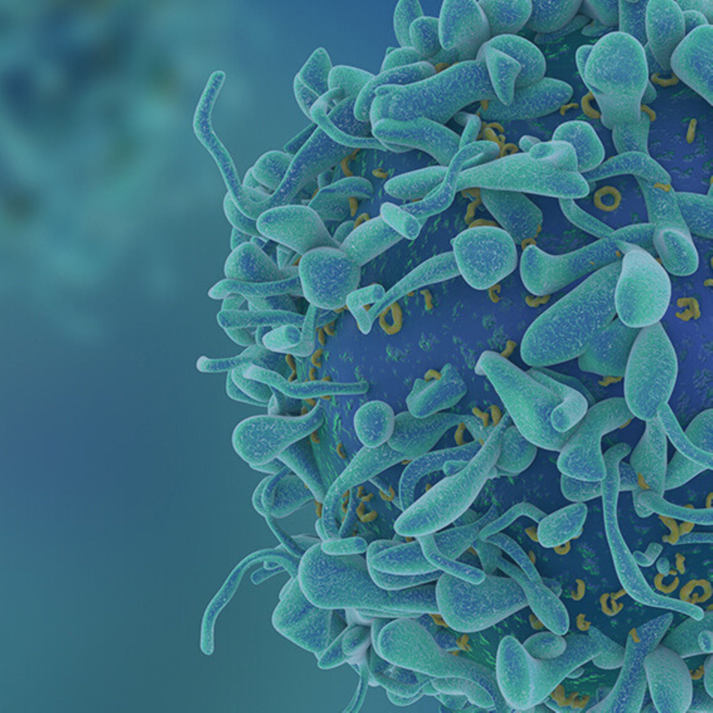 Examination of Ferroptosis Using Live-Cell Analysis Application Note ...