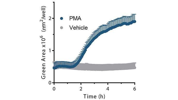 Neutrophils | Sartorius