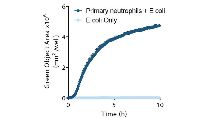 Neutrophils | Sartorius