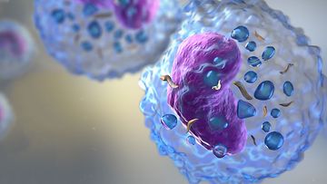 Immunology | Sartorius