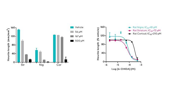 Neurodegeneration | Sartorius