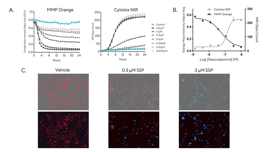 Mitochondrial Membrane Potential Assay | Sartorius