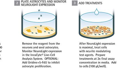 Neurodegeneration | Sartorius