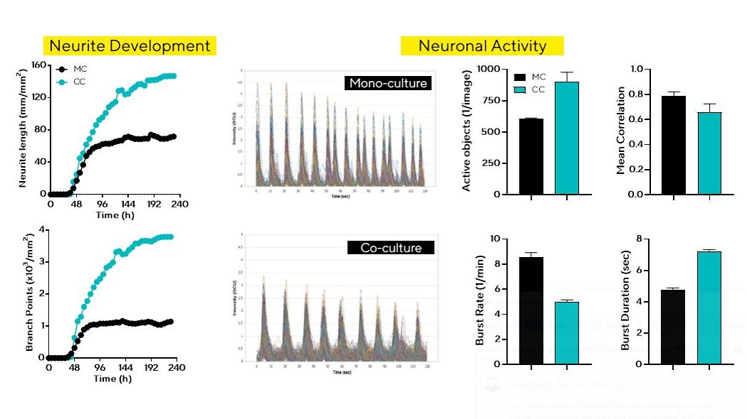Glia Characterization | Sartorius