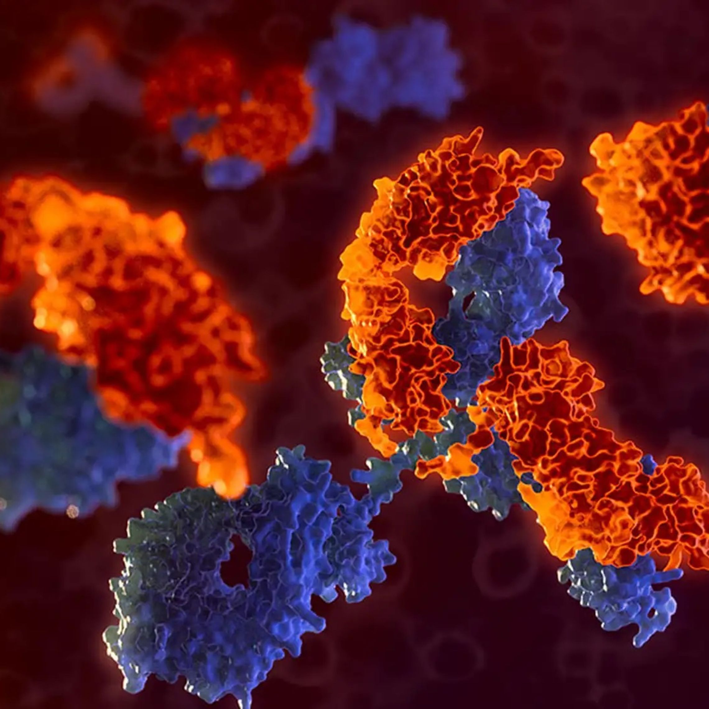 Antibody Internalization | Sartorius