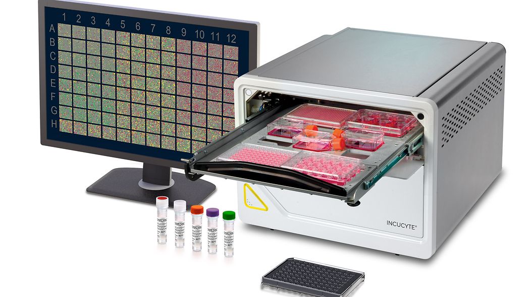 Incucyte Organoid Analysis Software | Sartorius