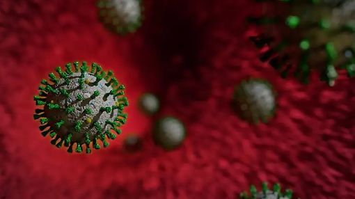 Research Areas | Sartorius