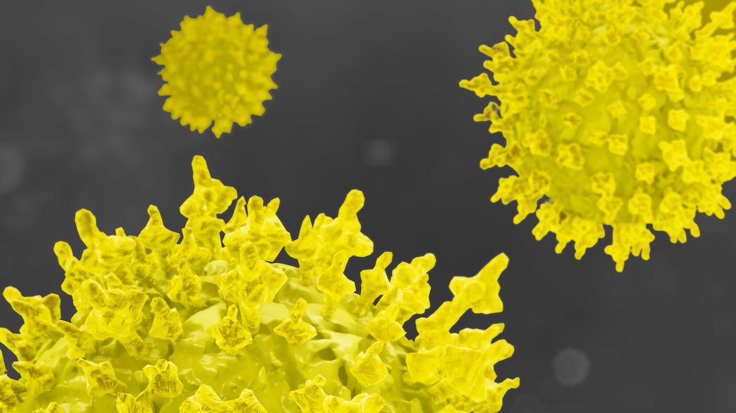 Label-Free Detection | Sartorius