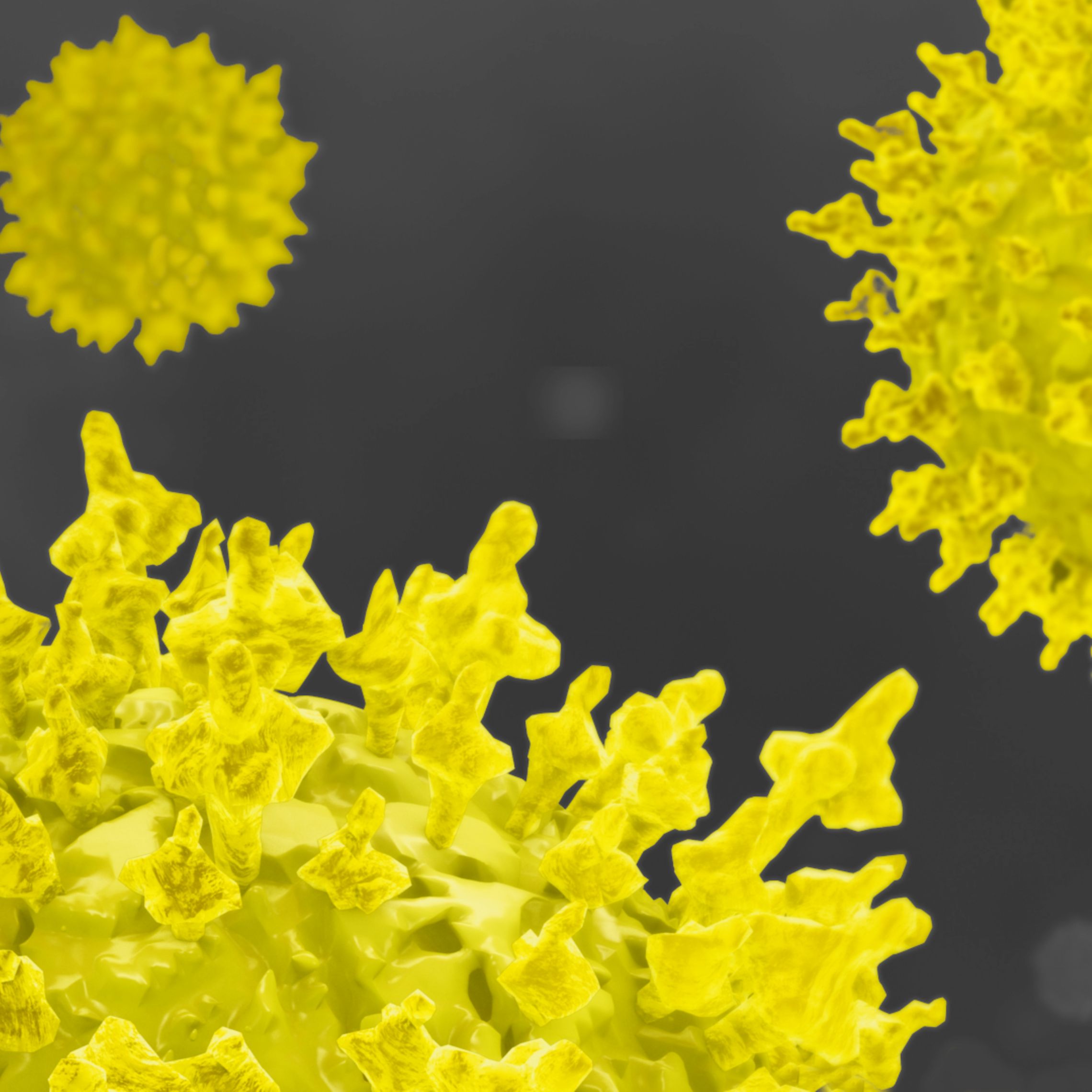 Chemokines & SARS-CoV-2 Nucleocapsid Protein: Protein Domain Mapping ...