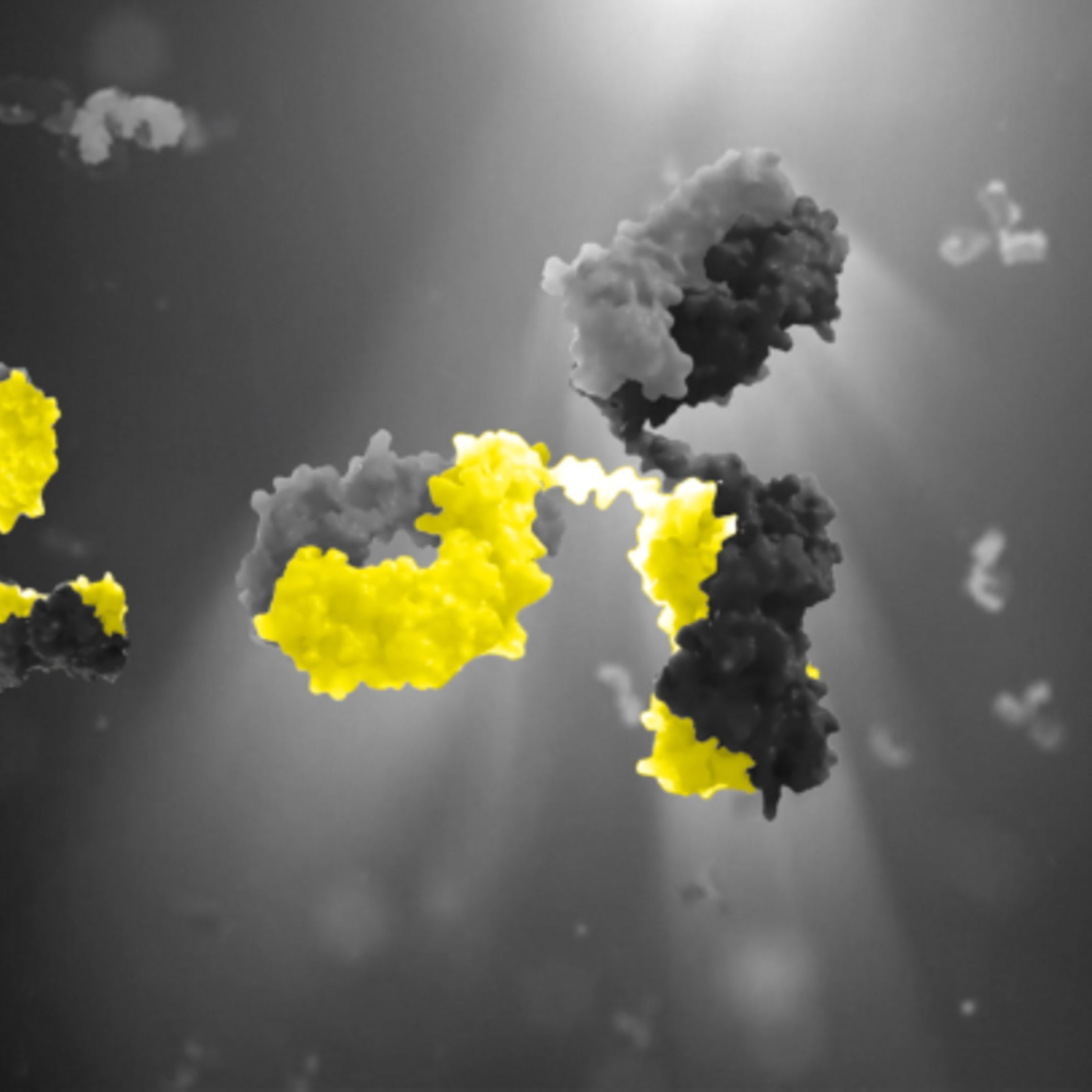Lead Selection | Sartorius