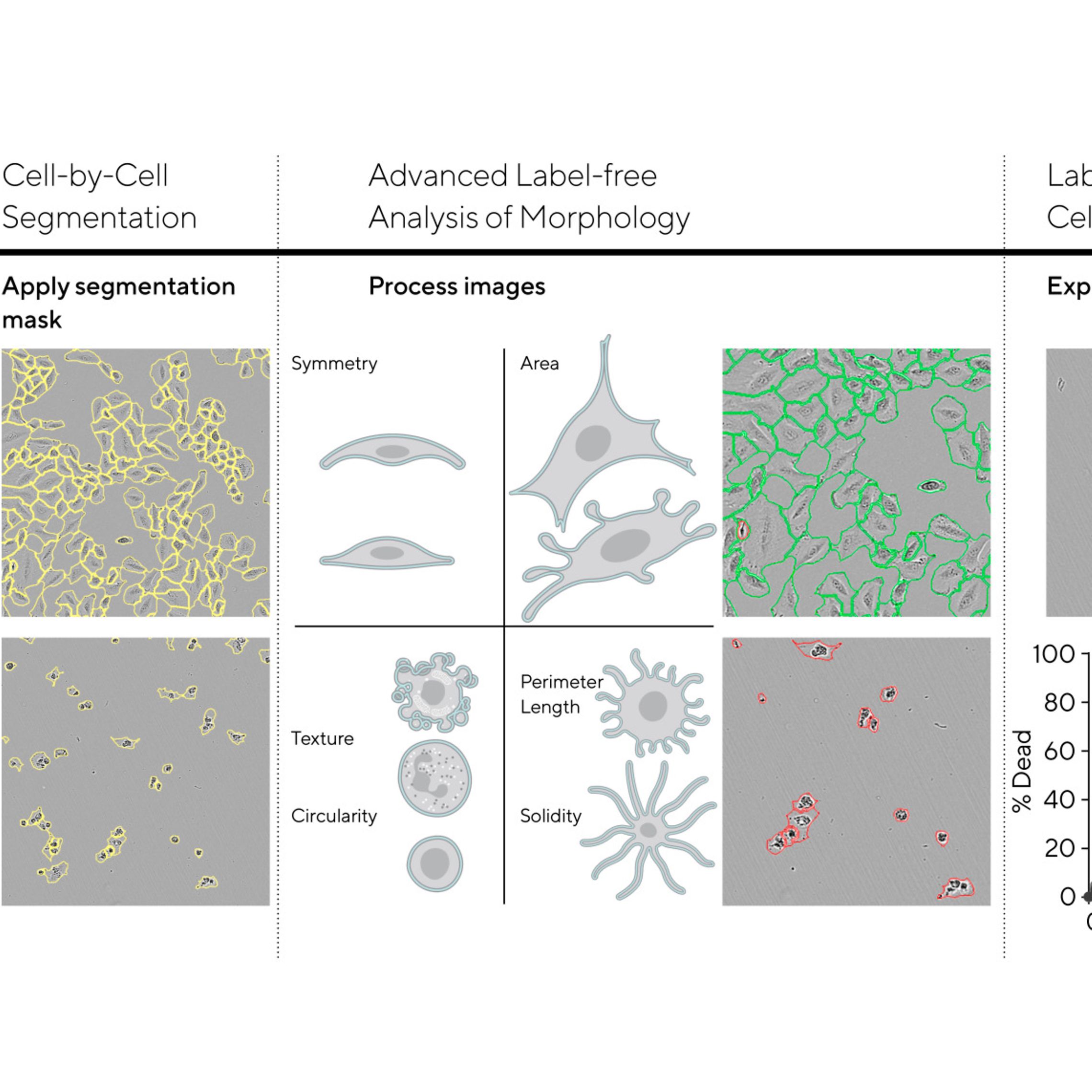 Morphological Analysis | Sartorius
