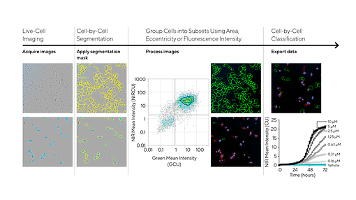 Incucyte Cell by Cell Analysis Software | Sartorius