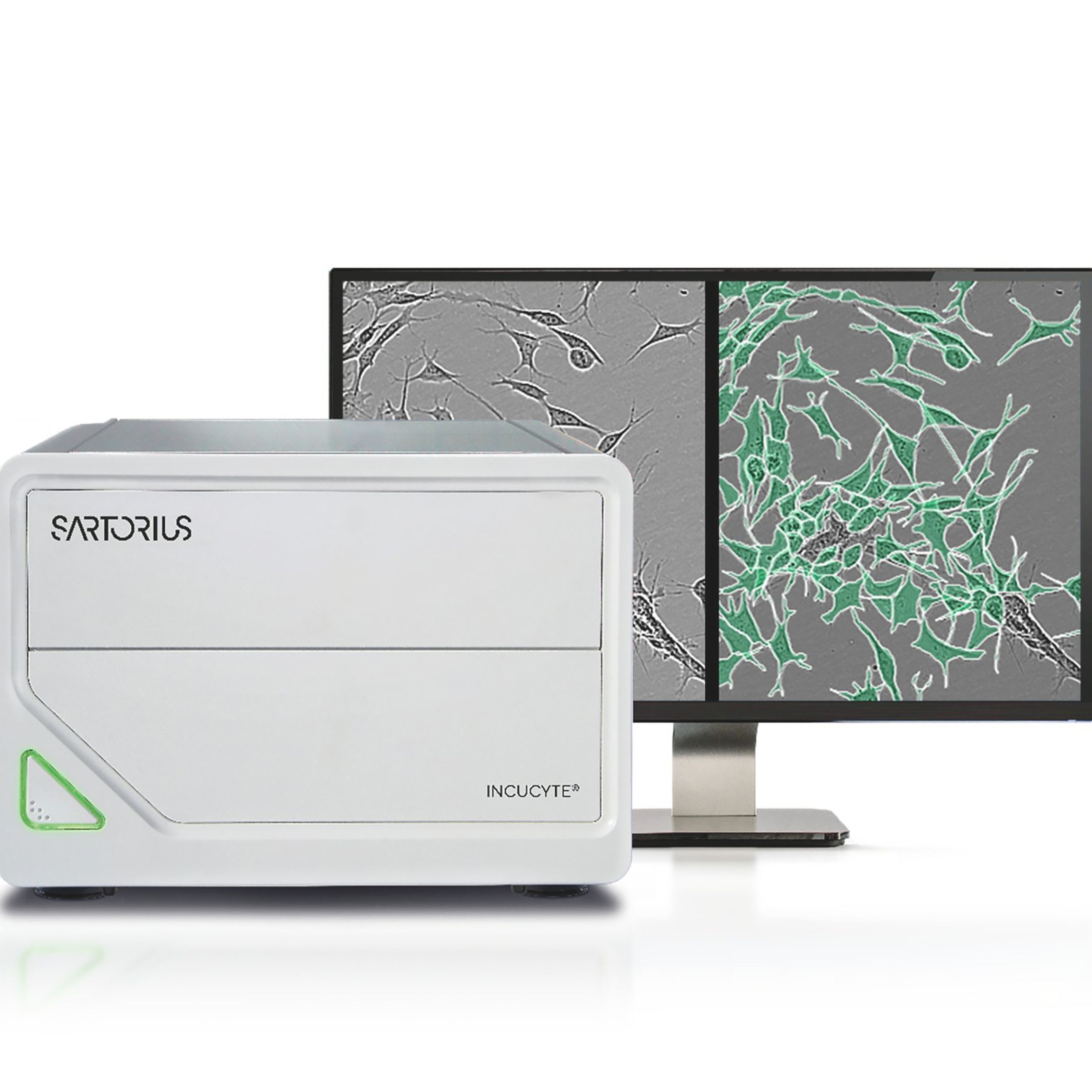 AI-Powered Software Tools Enable Automated and Unbiased Live-Cell ...
