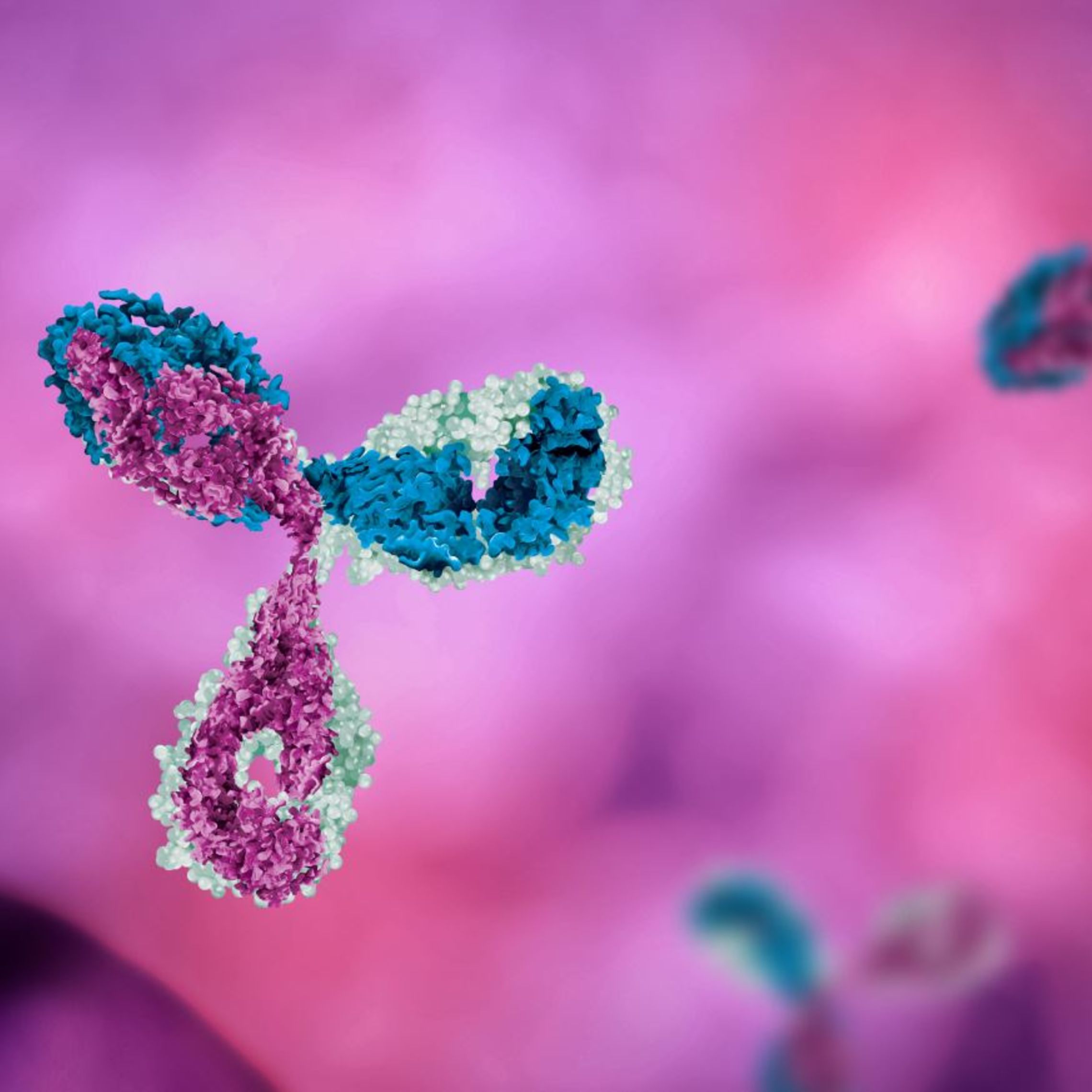 Antibody Internalization | Sartorius